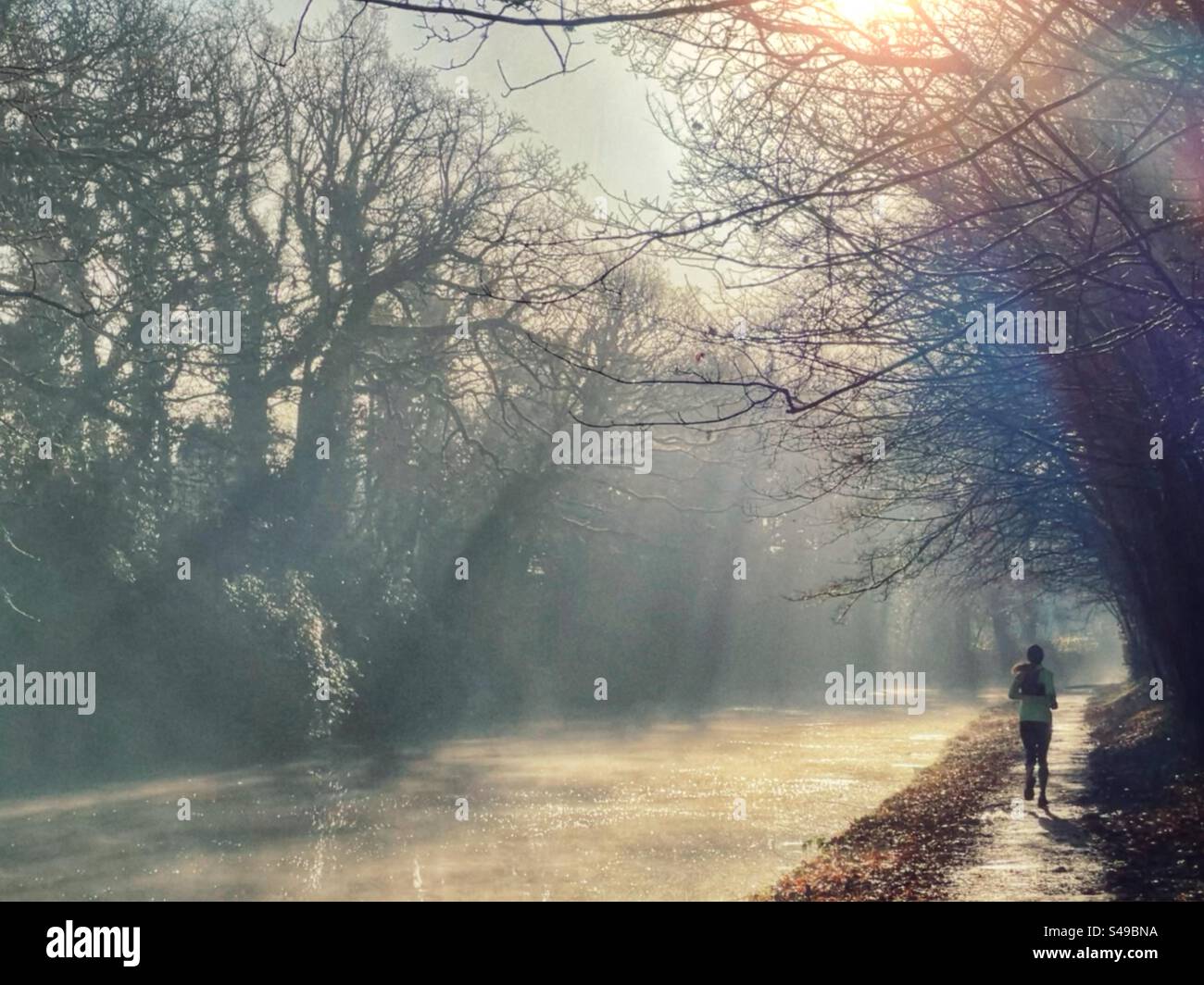 Figure running in early morning mist on tow path of Leeds and Liverpool ...