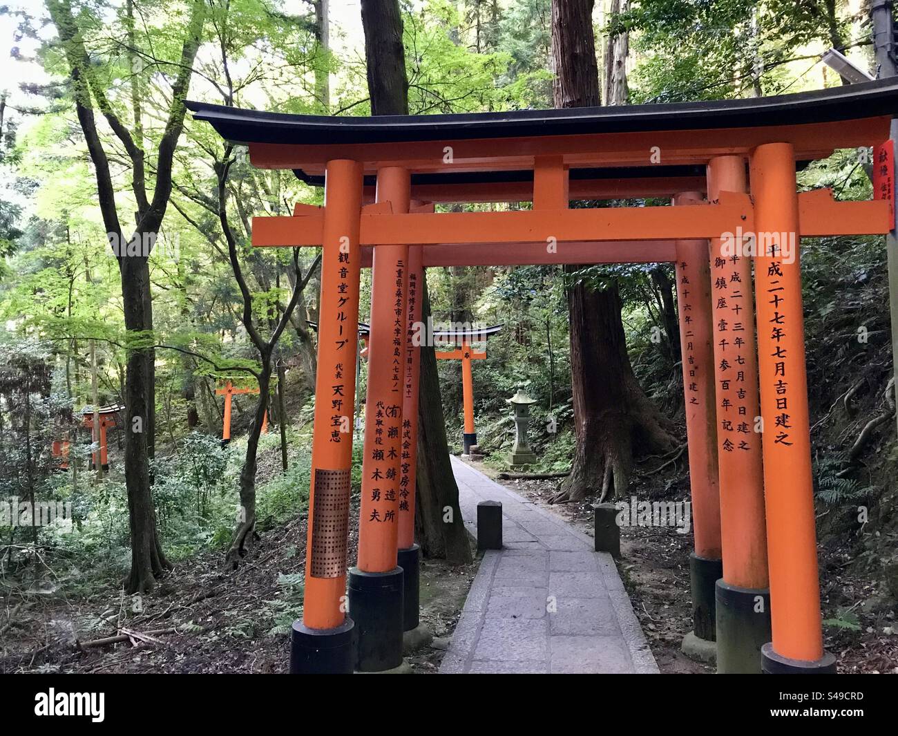 Iconic torii gates hi-res stock photography and images - Alamy