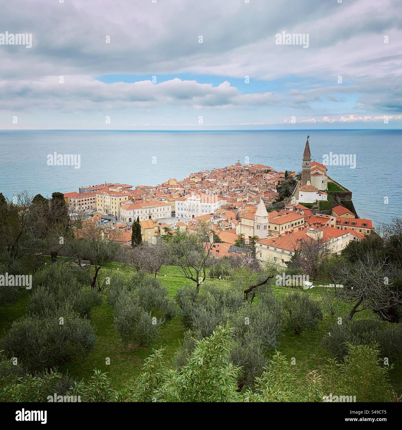 Breathtaking view of the Piran coast in Slovenia, captured from a ...