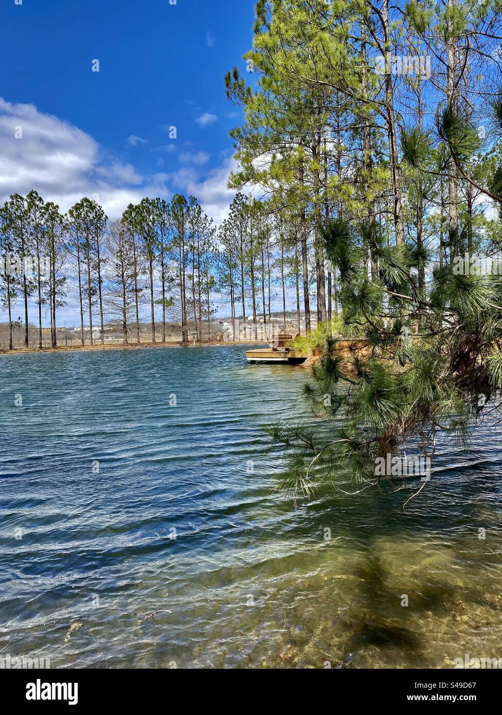 Clear water pine trees hi-res stock photography and images - Alamy