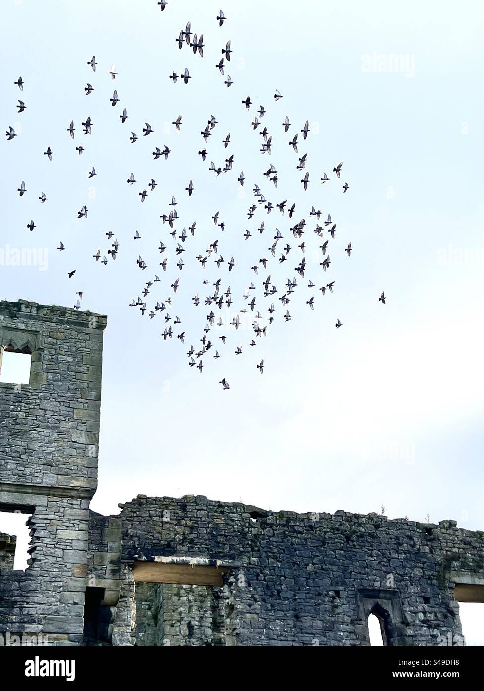 Richard 111 castle hi-res stock photography and images - Alamy