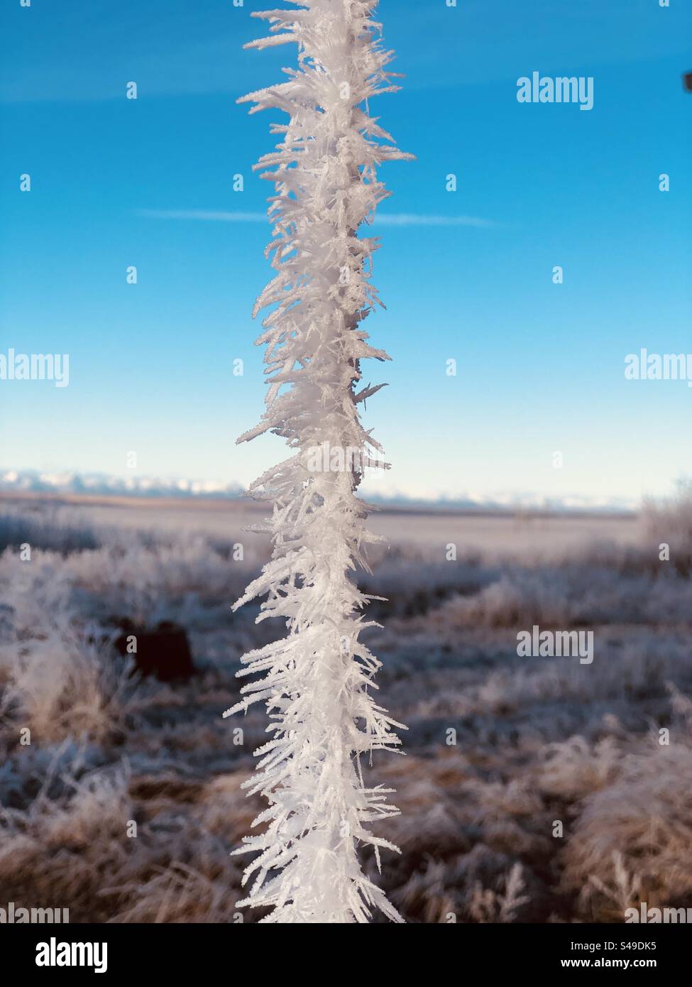 Alberta prairie winter hi-res stock photography and images - Alamy