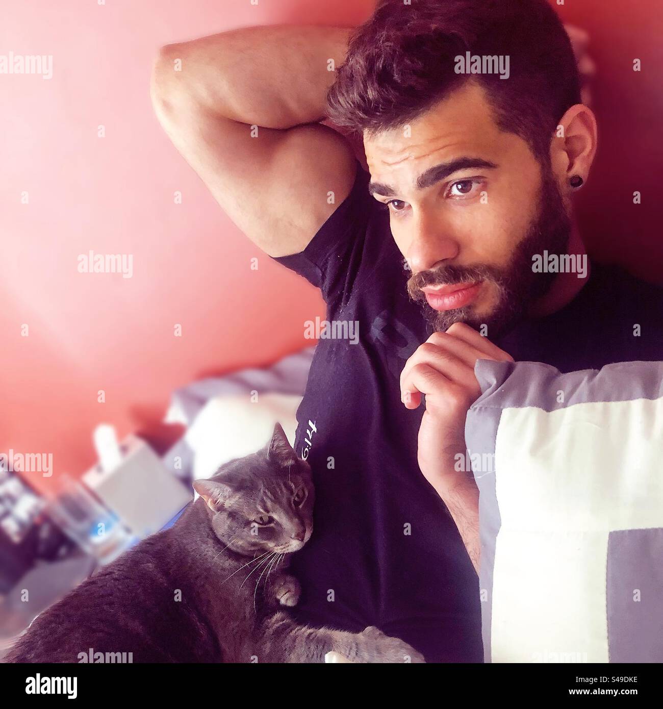 Daddy cat hi-res stock photography and images - Alamy