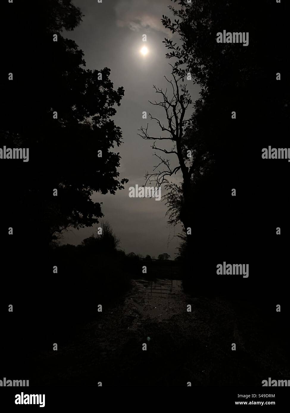 Moonlight trail hi-res stock photography and images - Alamy