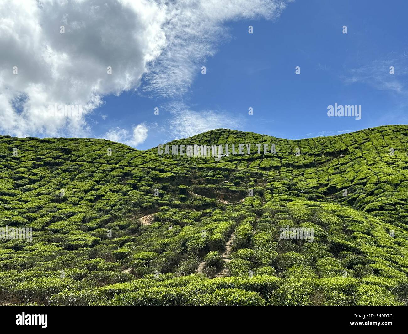Valley tea hi-res stock photography and images - Alamy