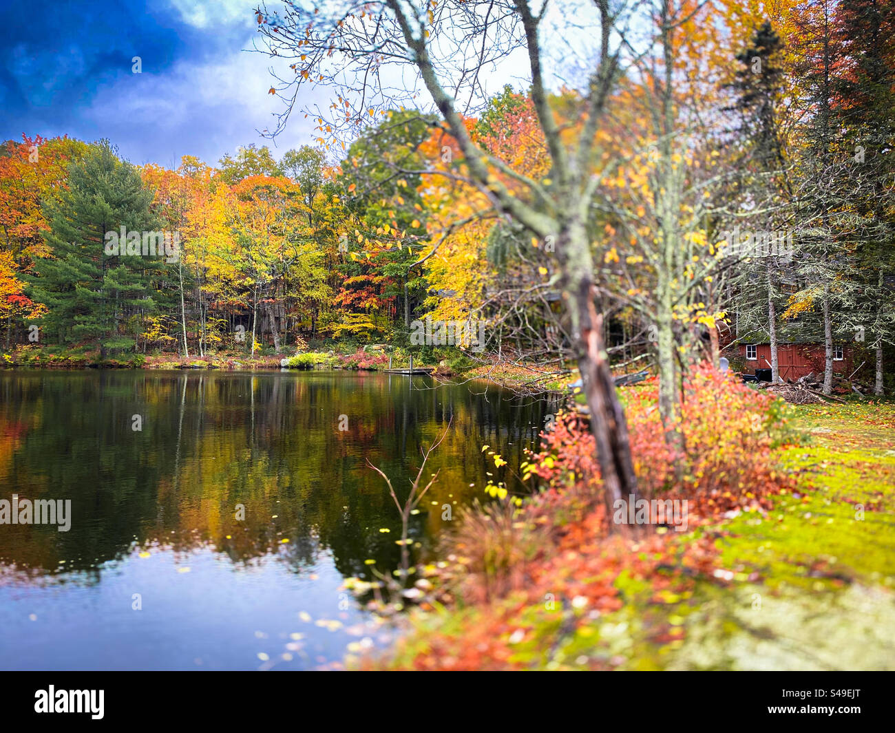 Autumn pond hi-res stock photography and images - Alamy