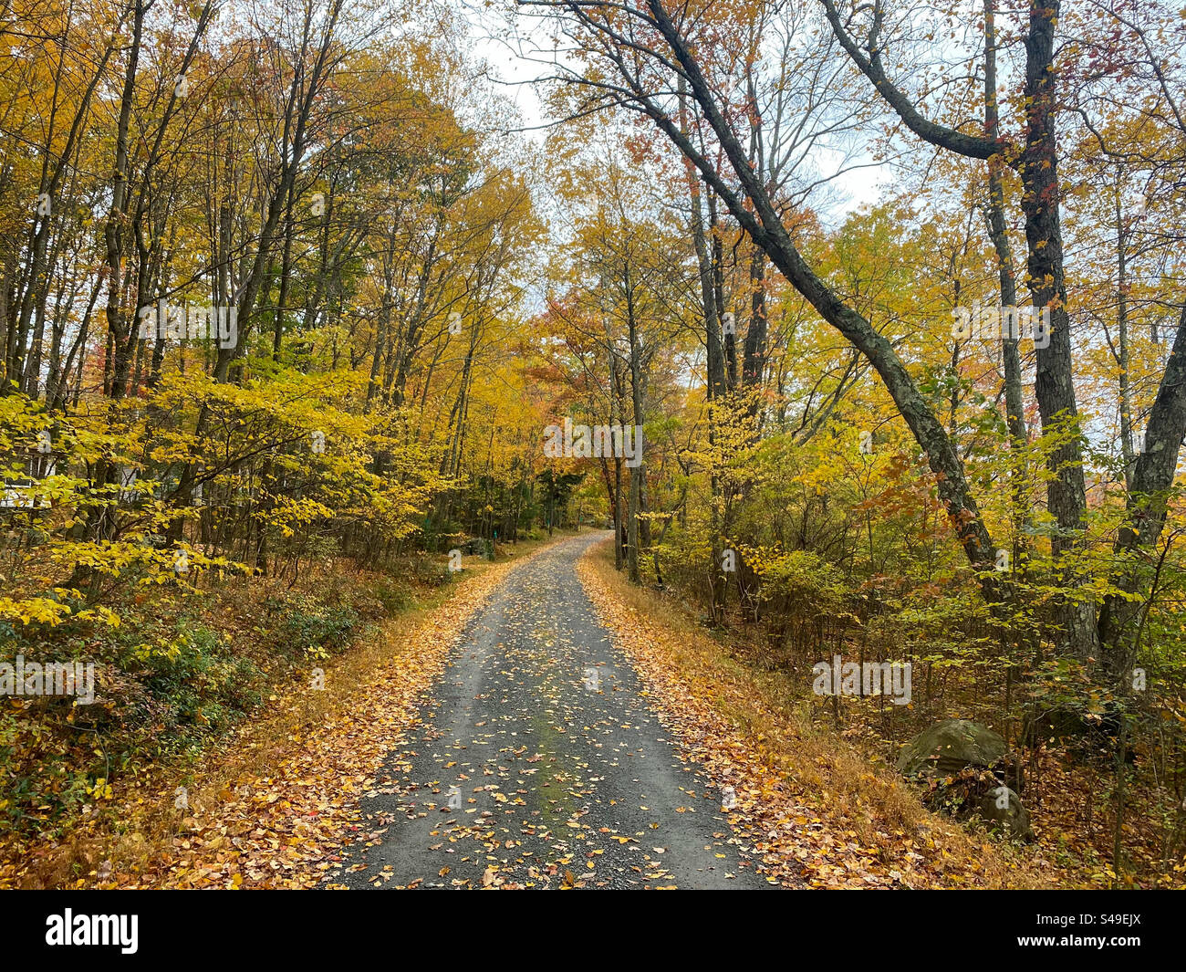 Poconos fall hi-res stock photography and images - Alamy