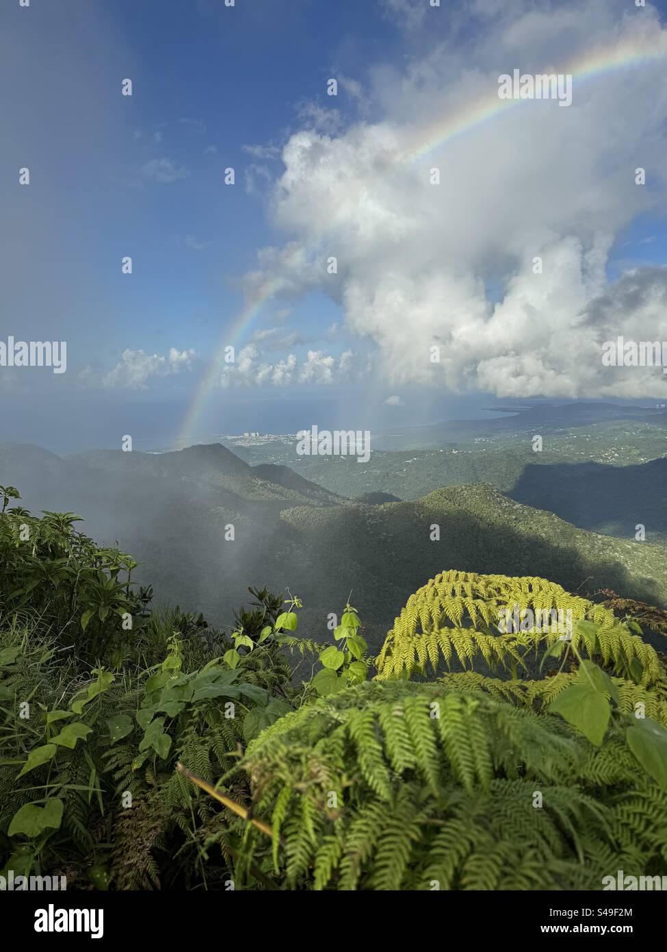 El Yunque Colorido Stock Photo - Alamy