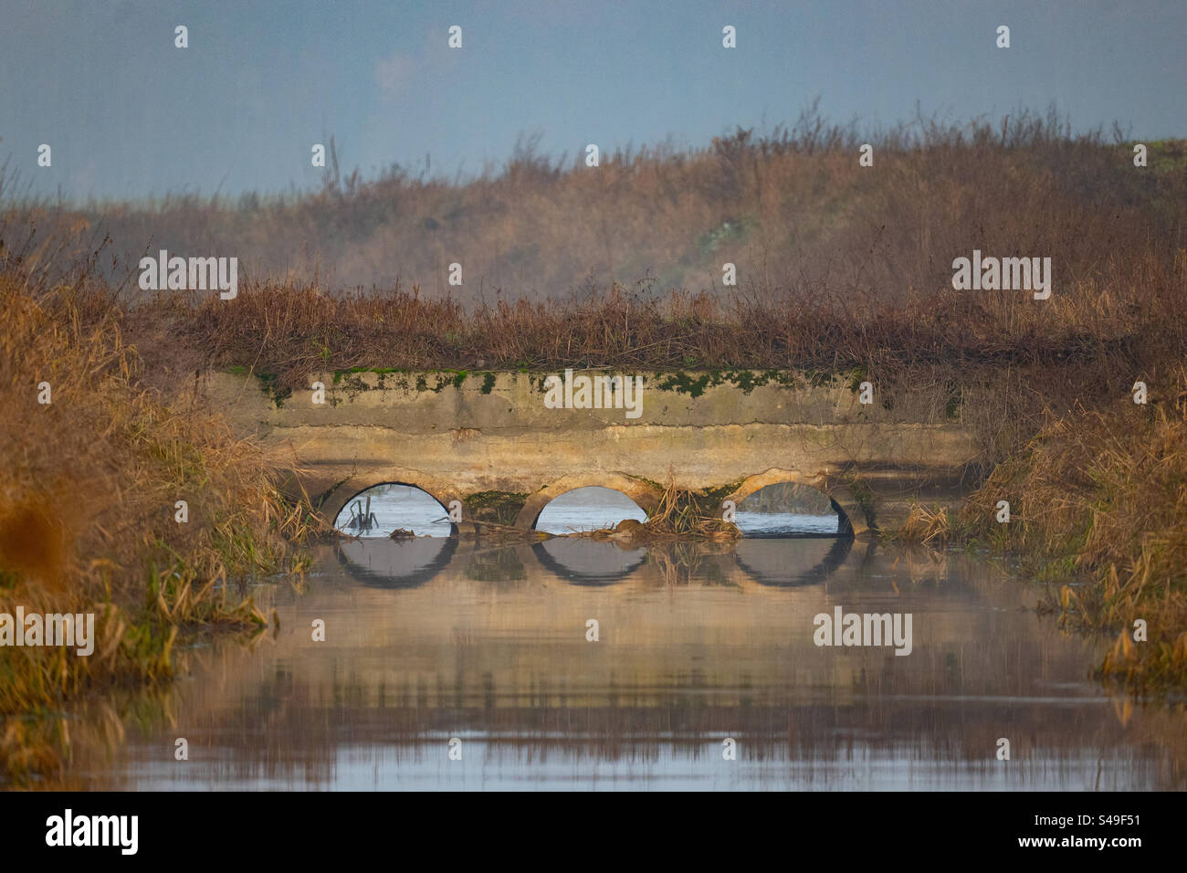 Bridge over a stream in the Polish countryside Stock Photo - Alamy