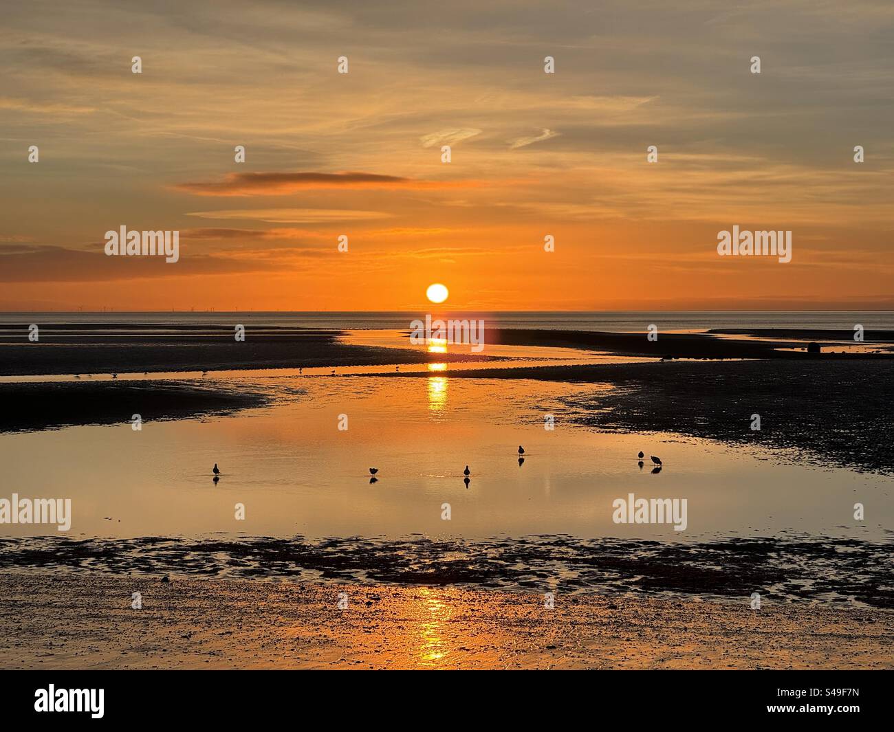 Monifieth scotland hi-res stock photography and images - Alamy