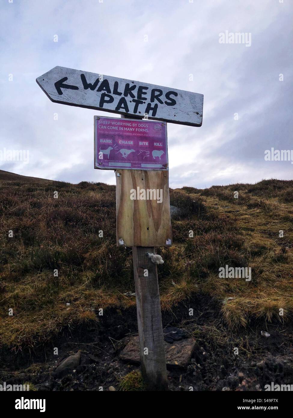 Walkers path over the moors, directional wooden signpost Stock Photo ...
