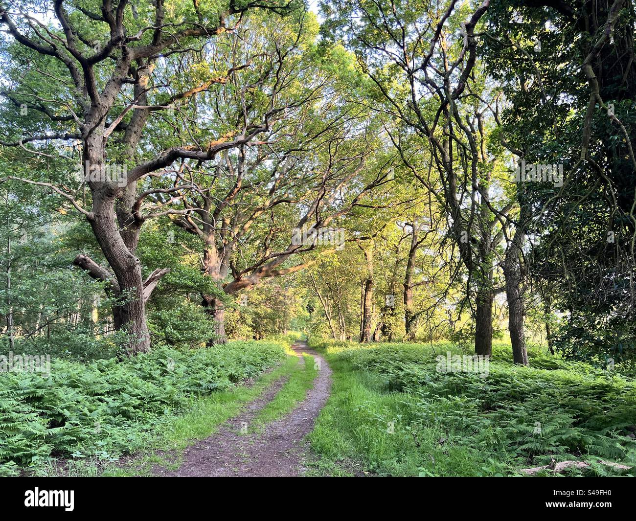 Shouldham hi-res stock photography and images - Alamy