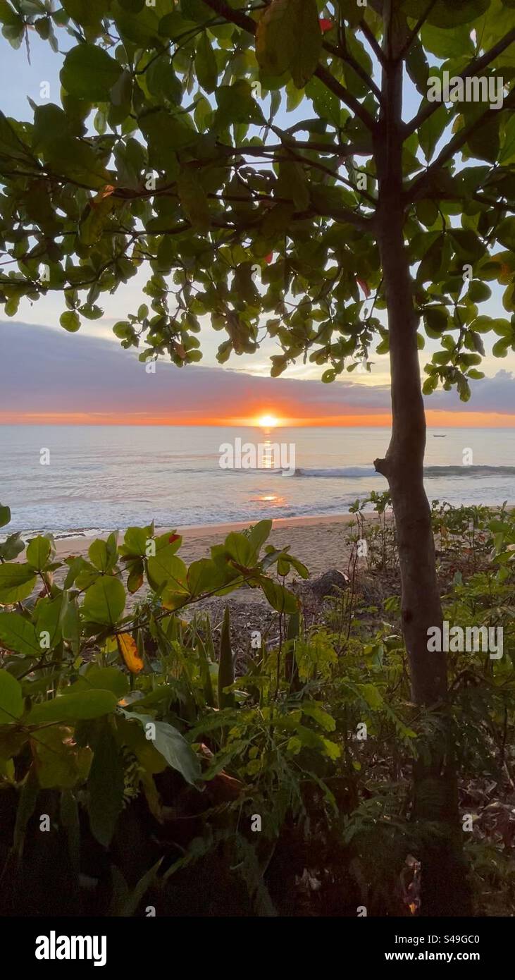 Puerto rico playa rincon puerto hi-res stock photography and images - Alamy