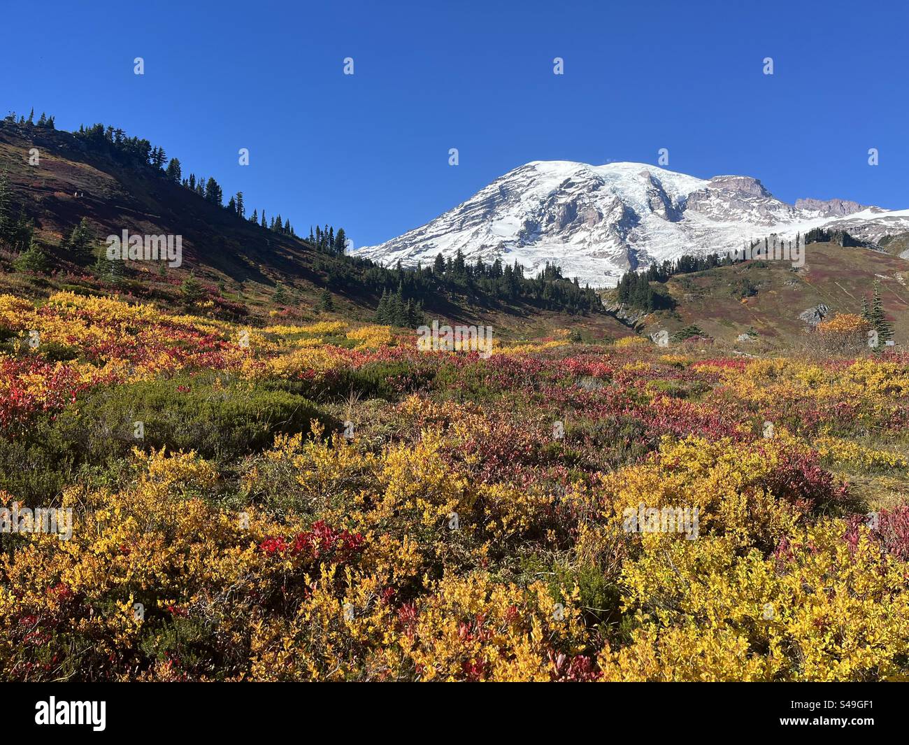 Mount rainier national park fall hi-res stock photography and images ...