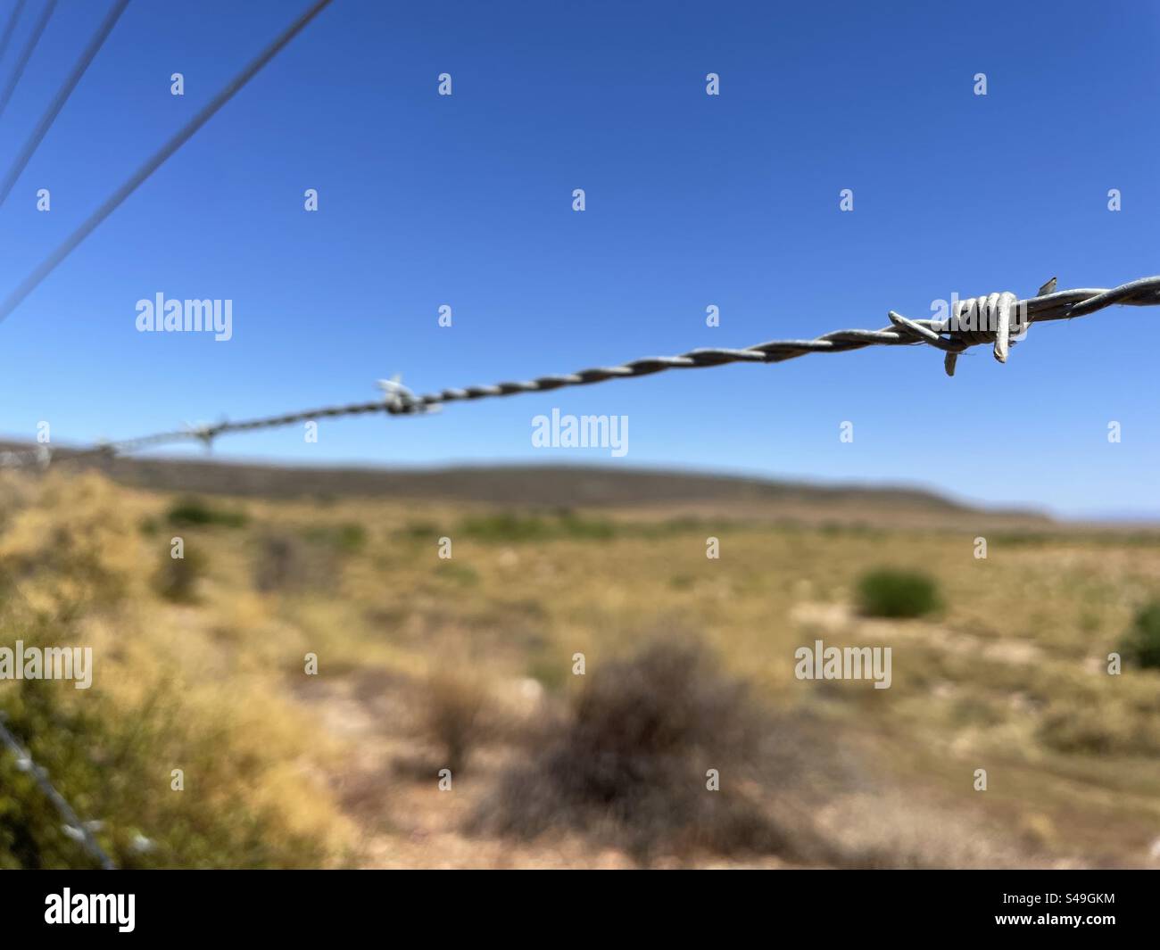 Barbed wire fence in the outback of South Africa Stock Photo - Alamy