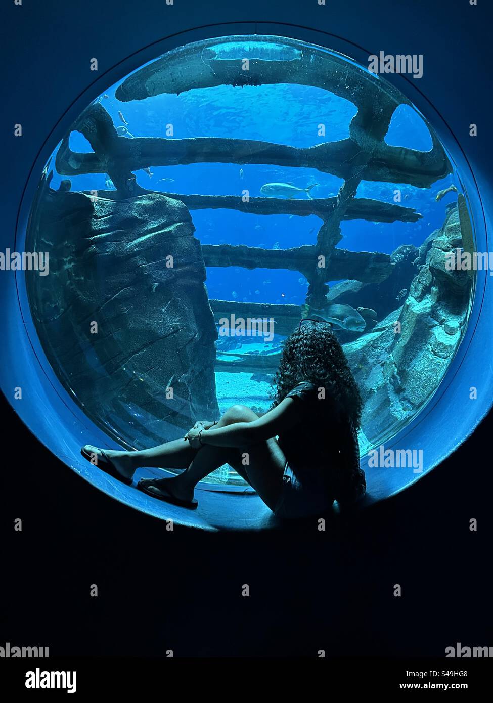 The looking glass hi-res stock photography and images - Alamy