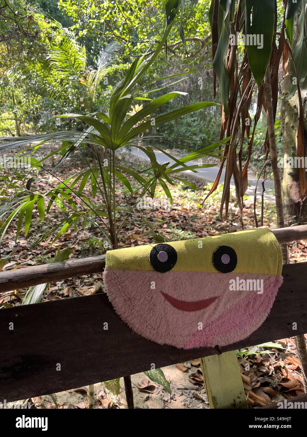 Jungle fun hi-res stock photography and images - Alamy