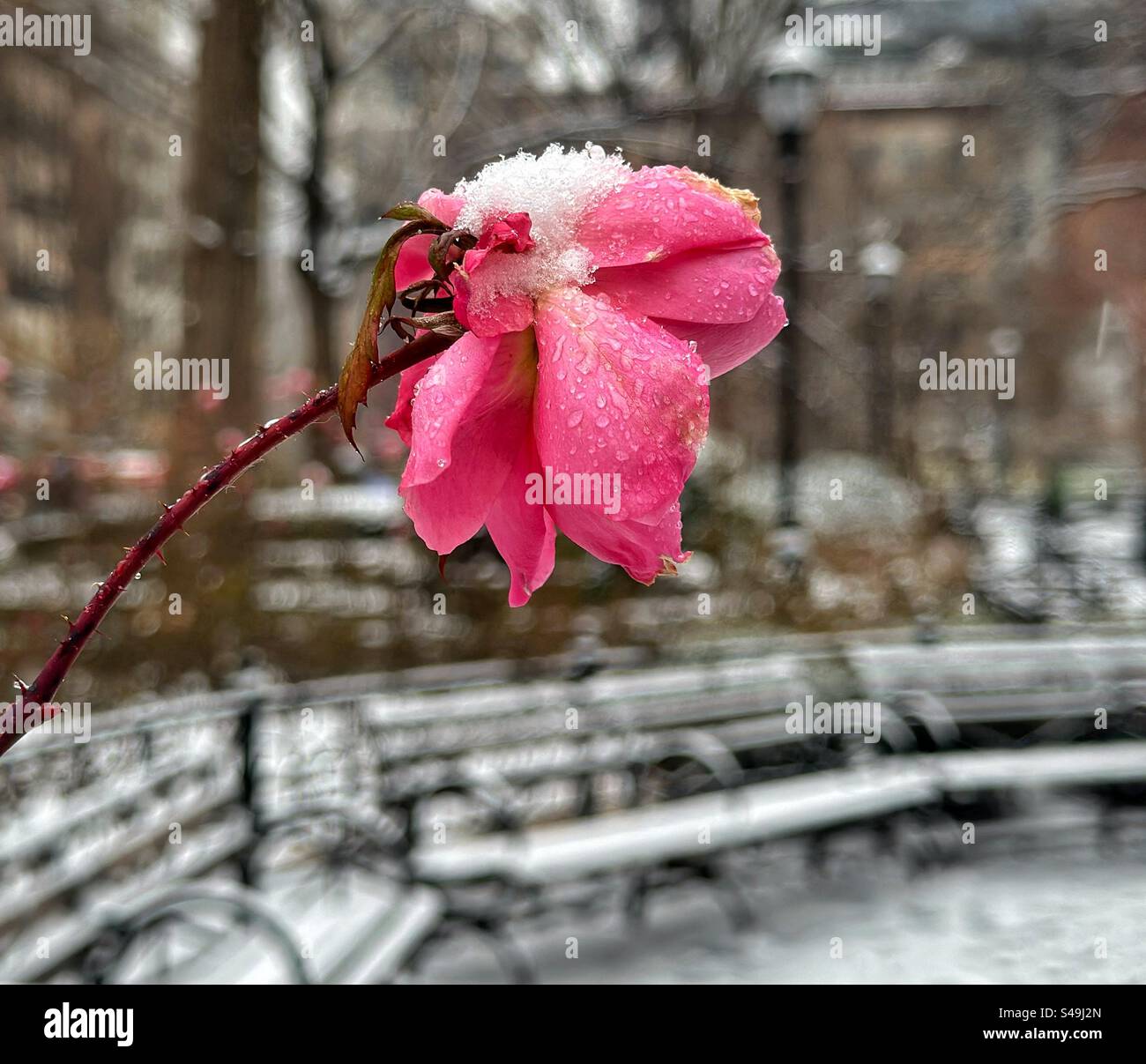 Union square in snow hi-res stock photography and images - Alamy