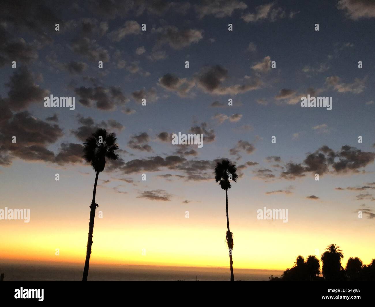 Palmscape hi-res stock photography and images - Alamy