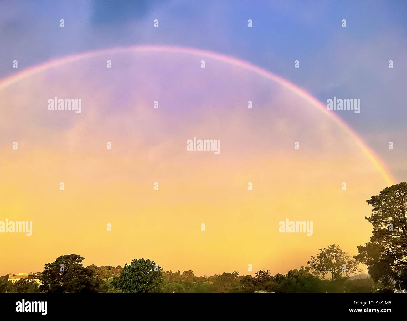 Rainbow in sunset sky after a storm, arching over trees below, seen ...