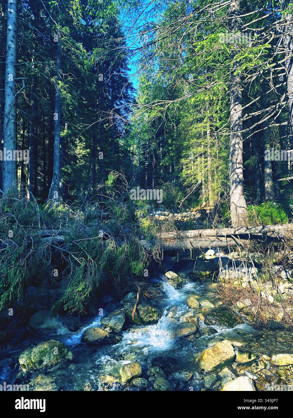 Tatra Mountains in Poland. Tatra National Park Stock Photo - Alamy