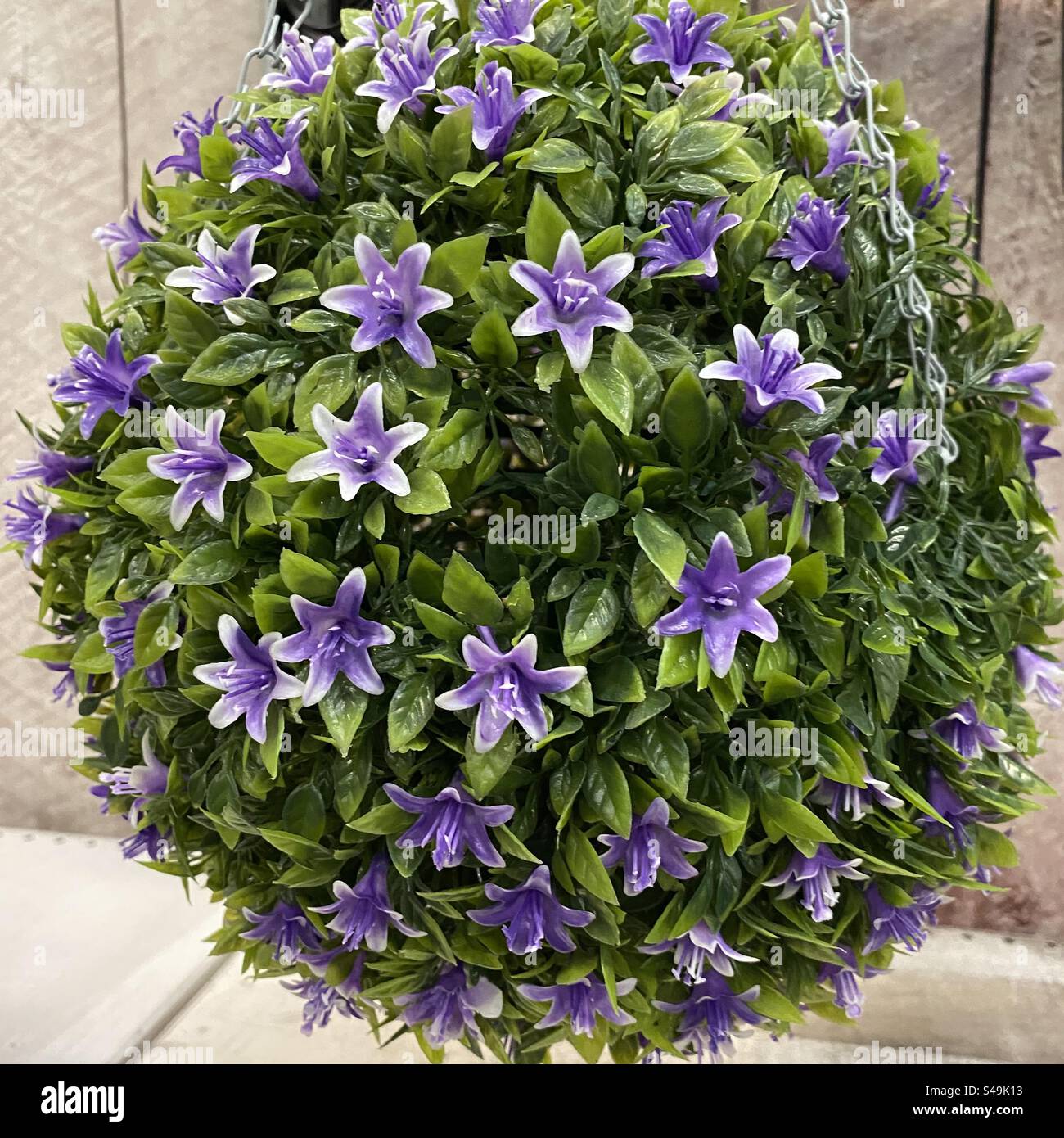 Beautiful display of flowers hi-res stock photography and images - Alamy