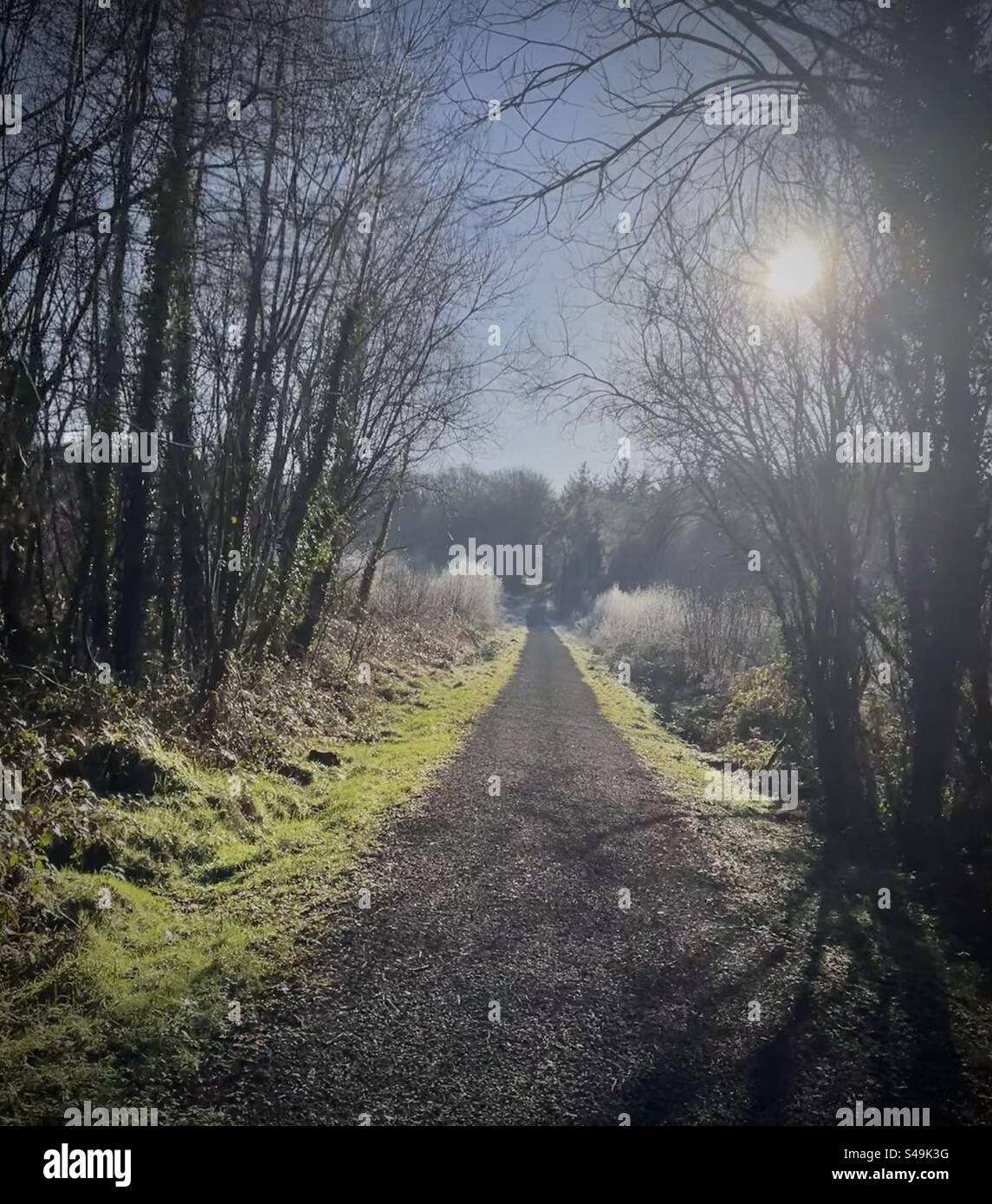 Frosty walks hi-res stock photography and images - Alamy