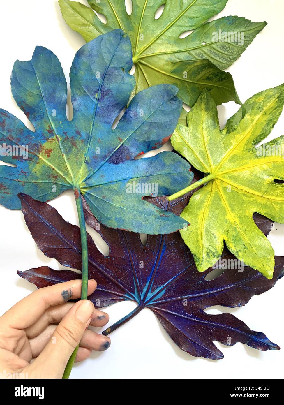 Hand painted leaves hi-res stock photography and images - Alamy