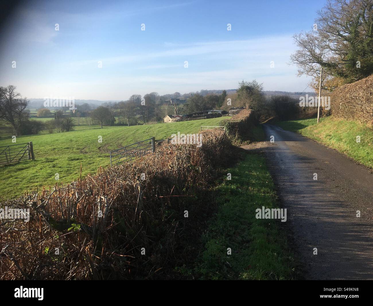 Winter hedge hi-res stock photography and images - Alamy