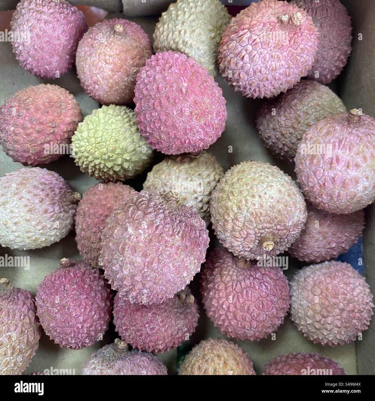 Juicy lychee’s ready to eat Stock Photo - Alamy