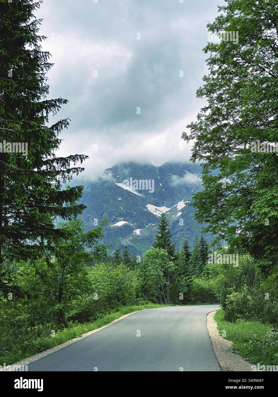 Road tatra mountains hi-res stock photography and images - Alamy