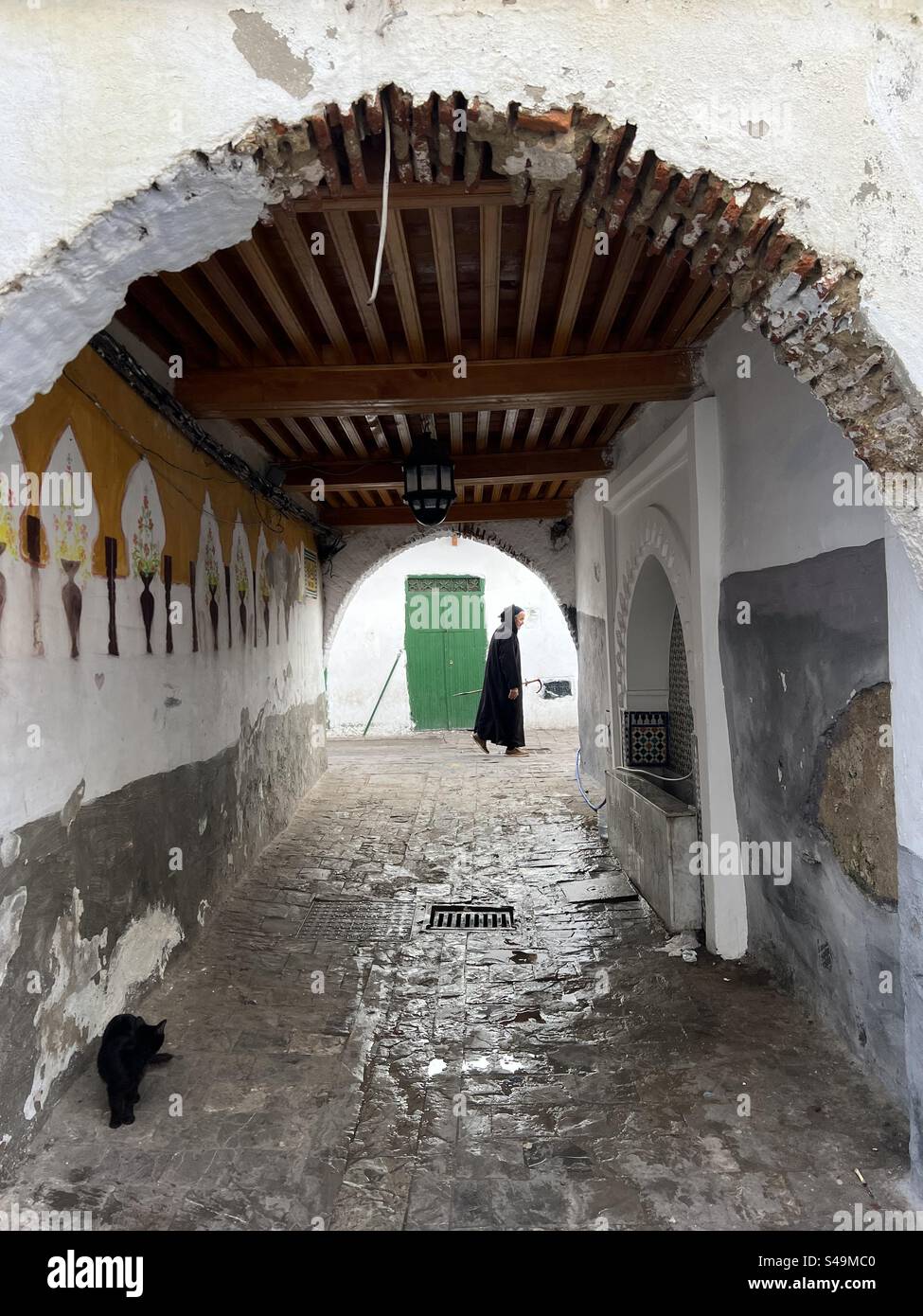Man walking cat hi-res stock photography and images - Alamy
