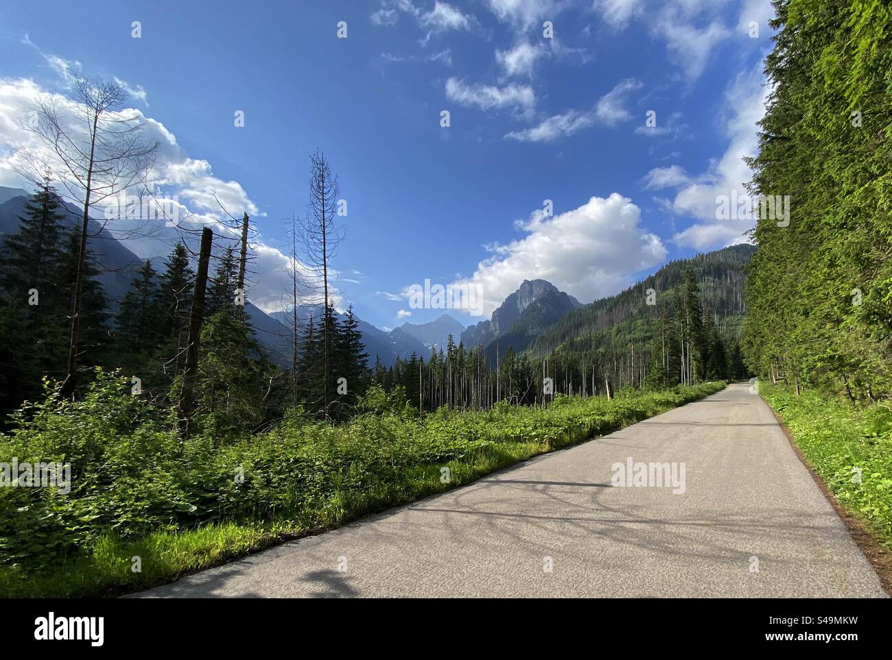 Road in the Polish Tatra Mountains Stock Photo - Alamy
