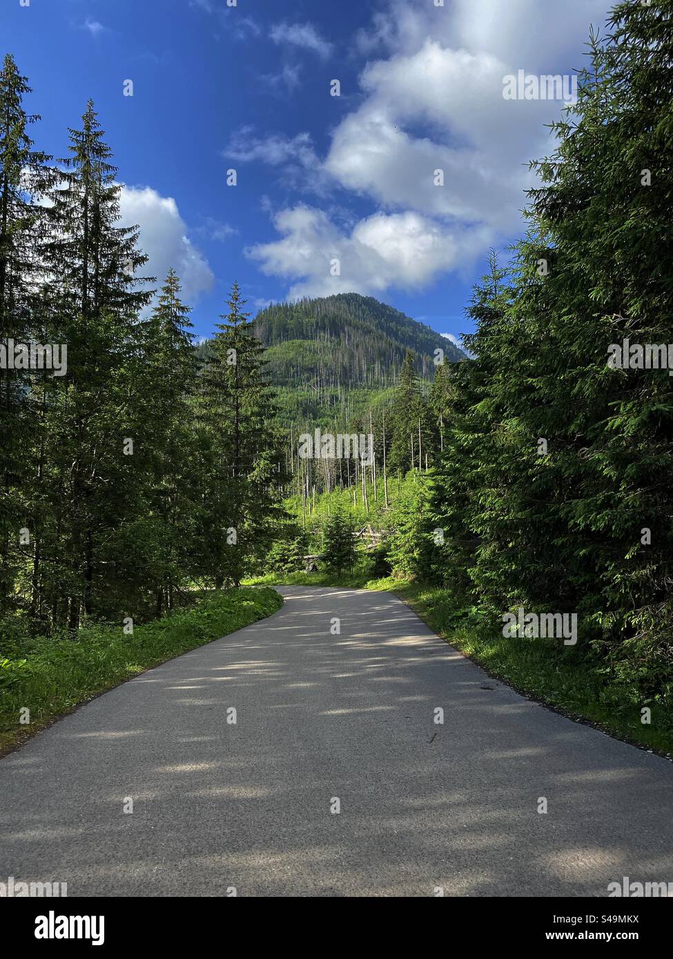Road in the Polish Tatra Mountains Stock Photo - Alamy