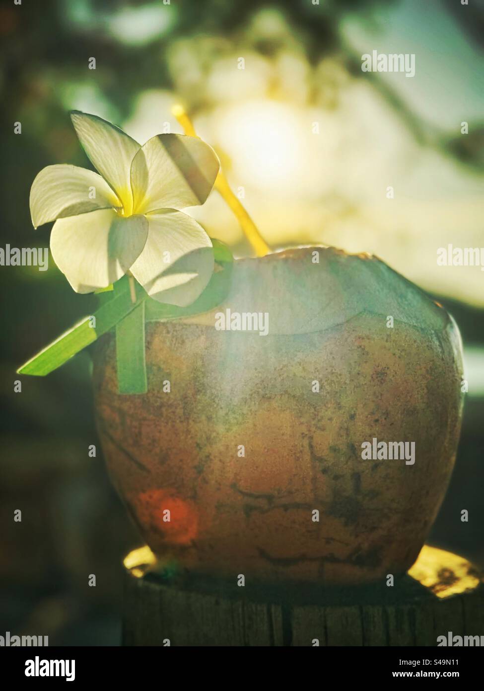Coconut water straw hi-res stock photography and images - Alamy