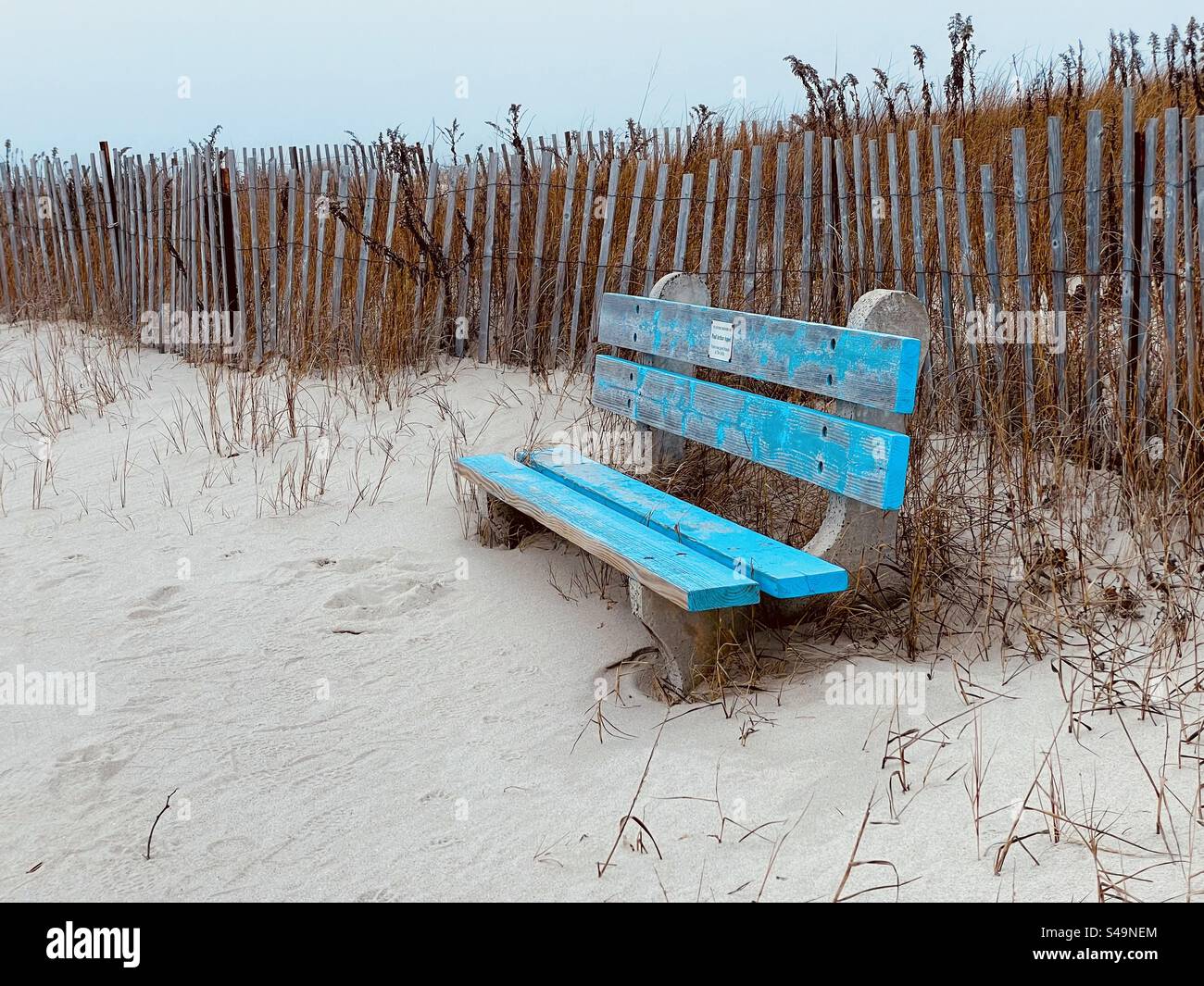 Blue bench on the beach Stock Photo - Alamy