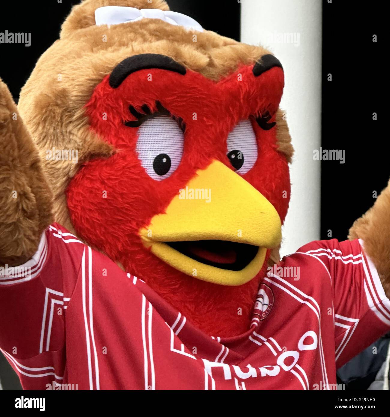 Football mascot hi-res stock photography and images - Alamy