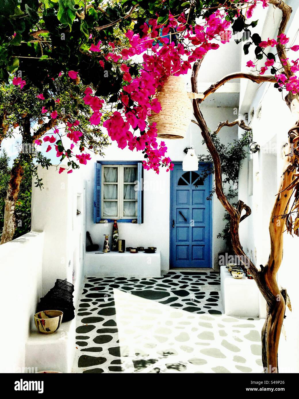 Blue flowers in courtyard summer hi-res stock photography and images ...