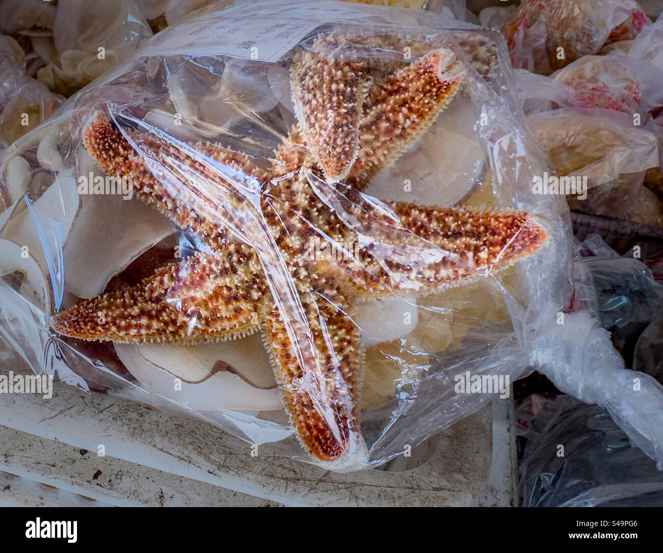 Crustacean local hi-res stock photography and images - Alamy