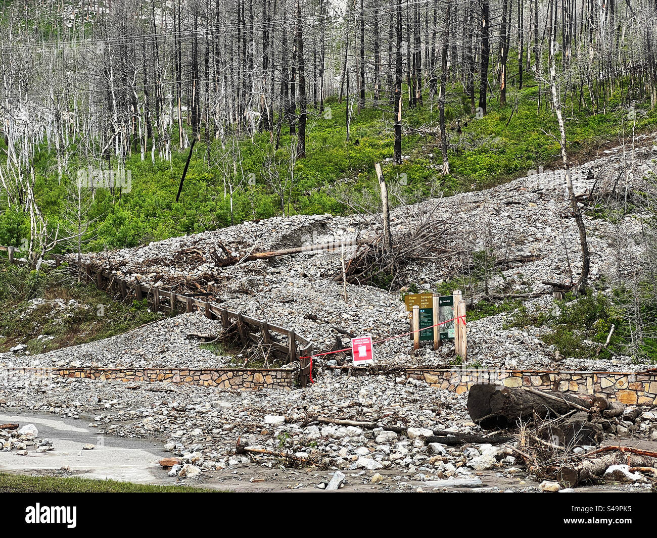Mud and rockslide damage at the Bears Hump trail in Waterton Lakes ...