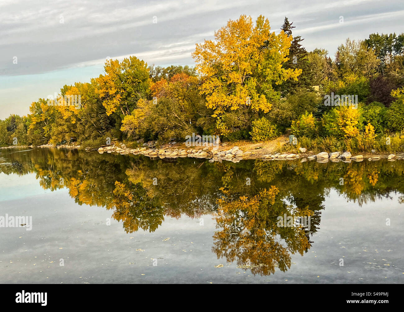 Autumn colours, fall tree foliage reflection at Prince’s Island Park ...