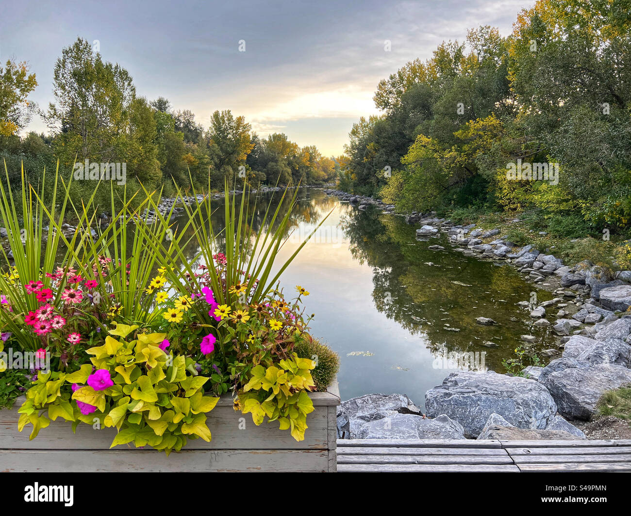 Autumn colours, fall tree foliage reflection at Prince’s Island Park ...