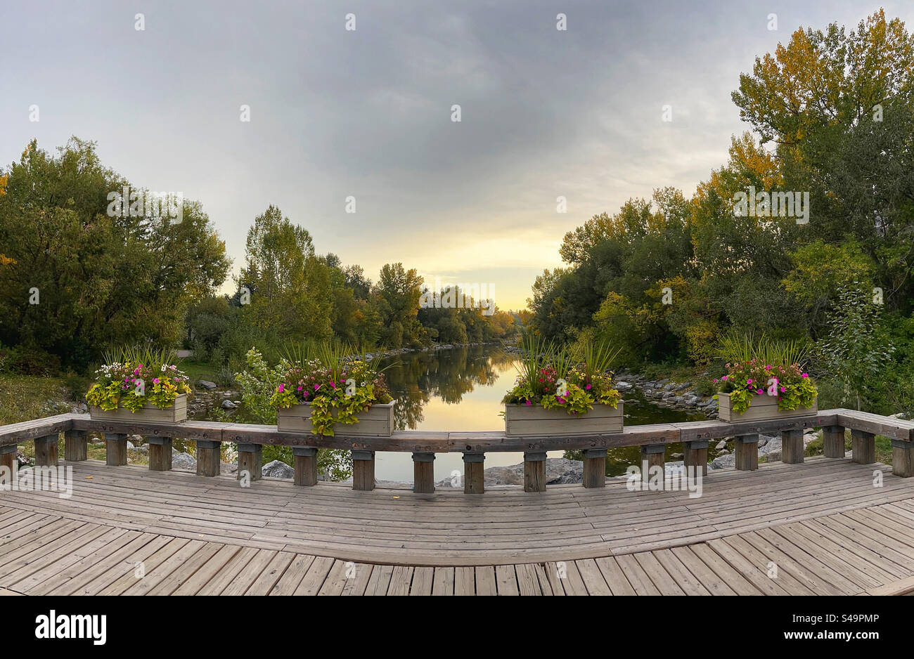 Autumn colours, fall tree foliage reflection at Prince’s Island Park ...