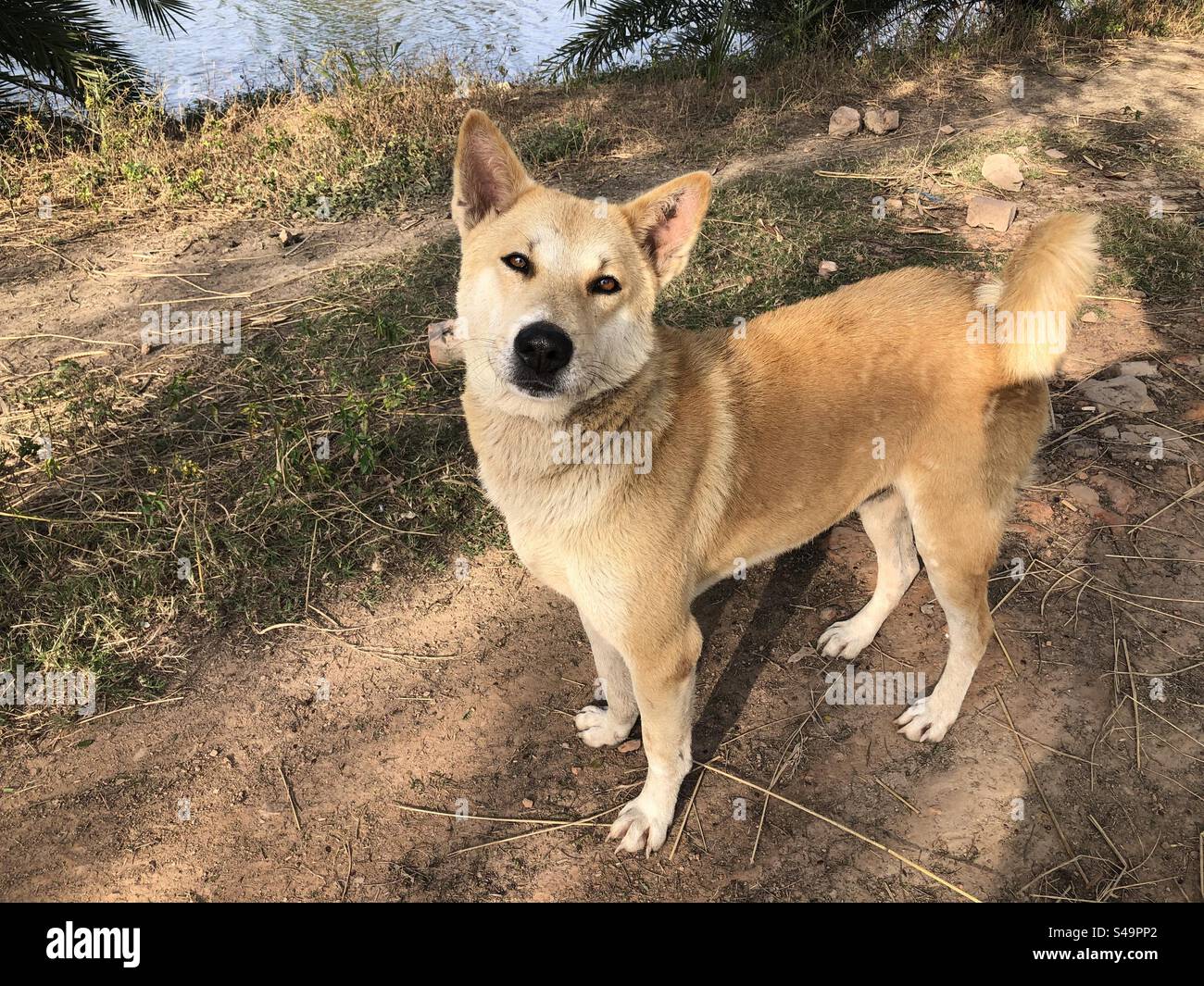 Photograph roadside hi-res stock photography and images - Alamy