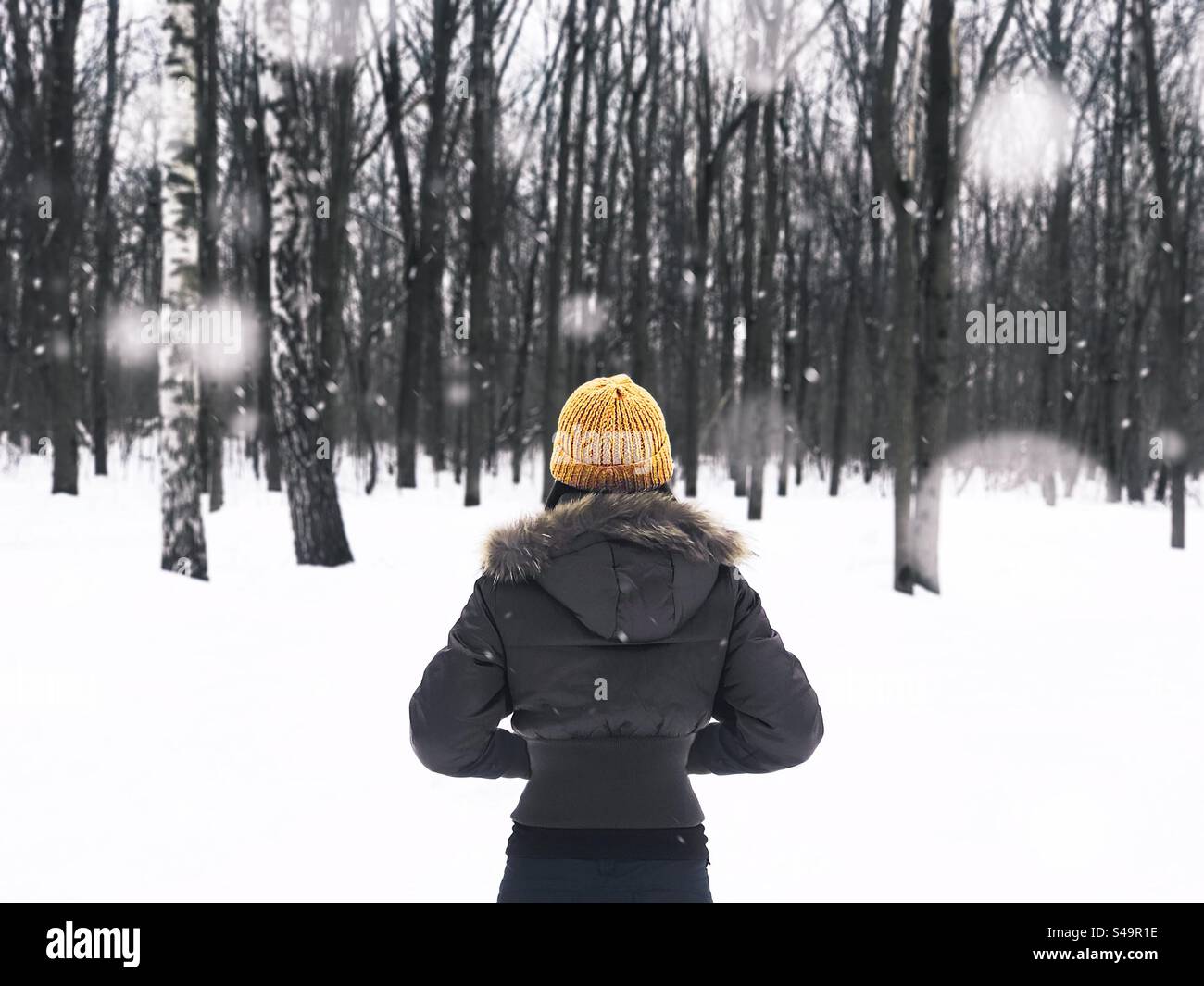 Snow falling in forest Stock Photo - Alamy