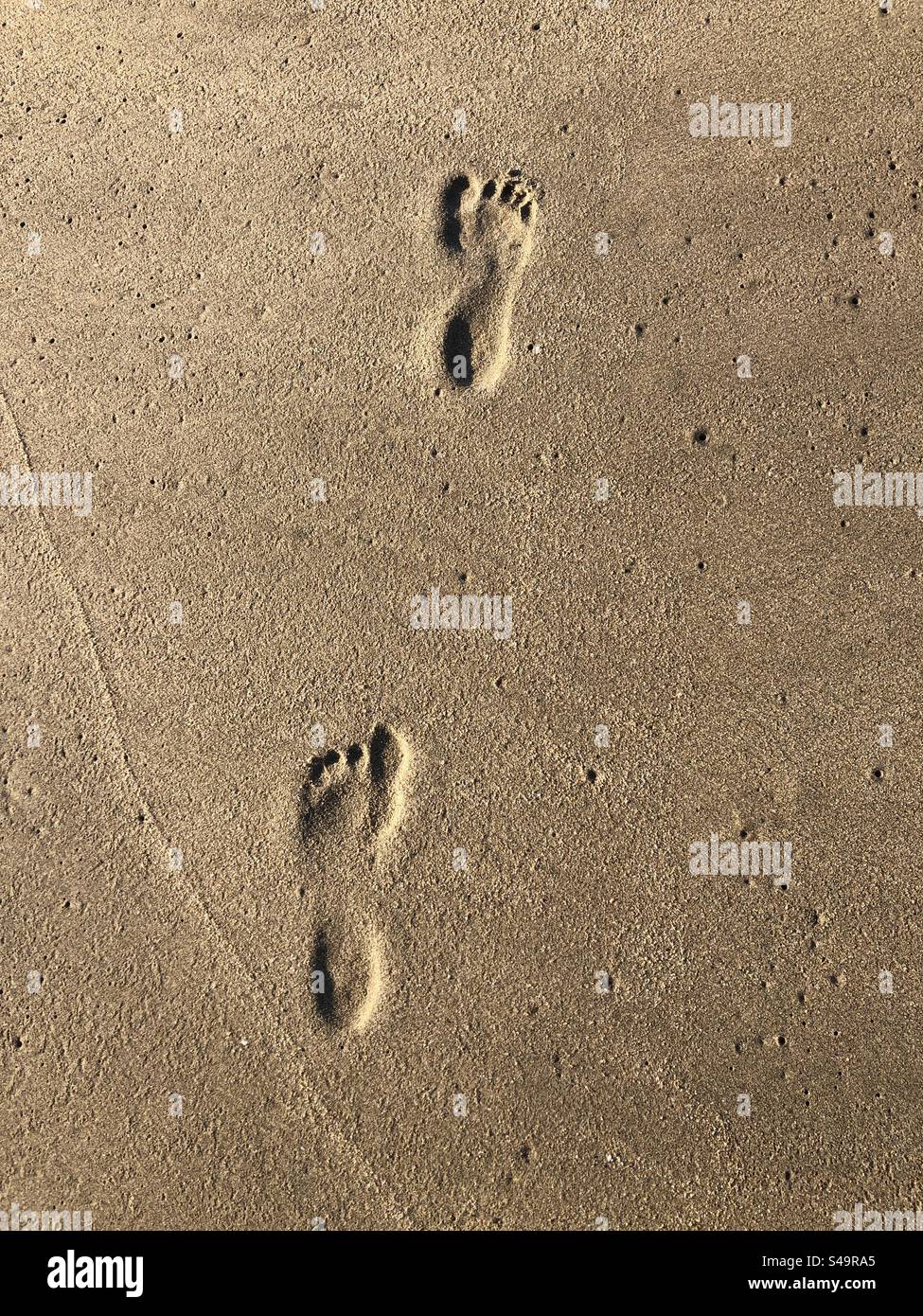 Footsteps in the sand Stock Photo - Alamy