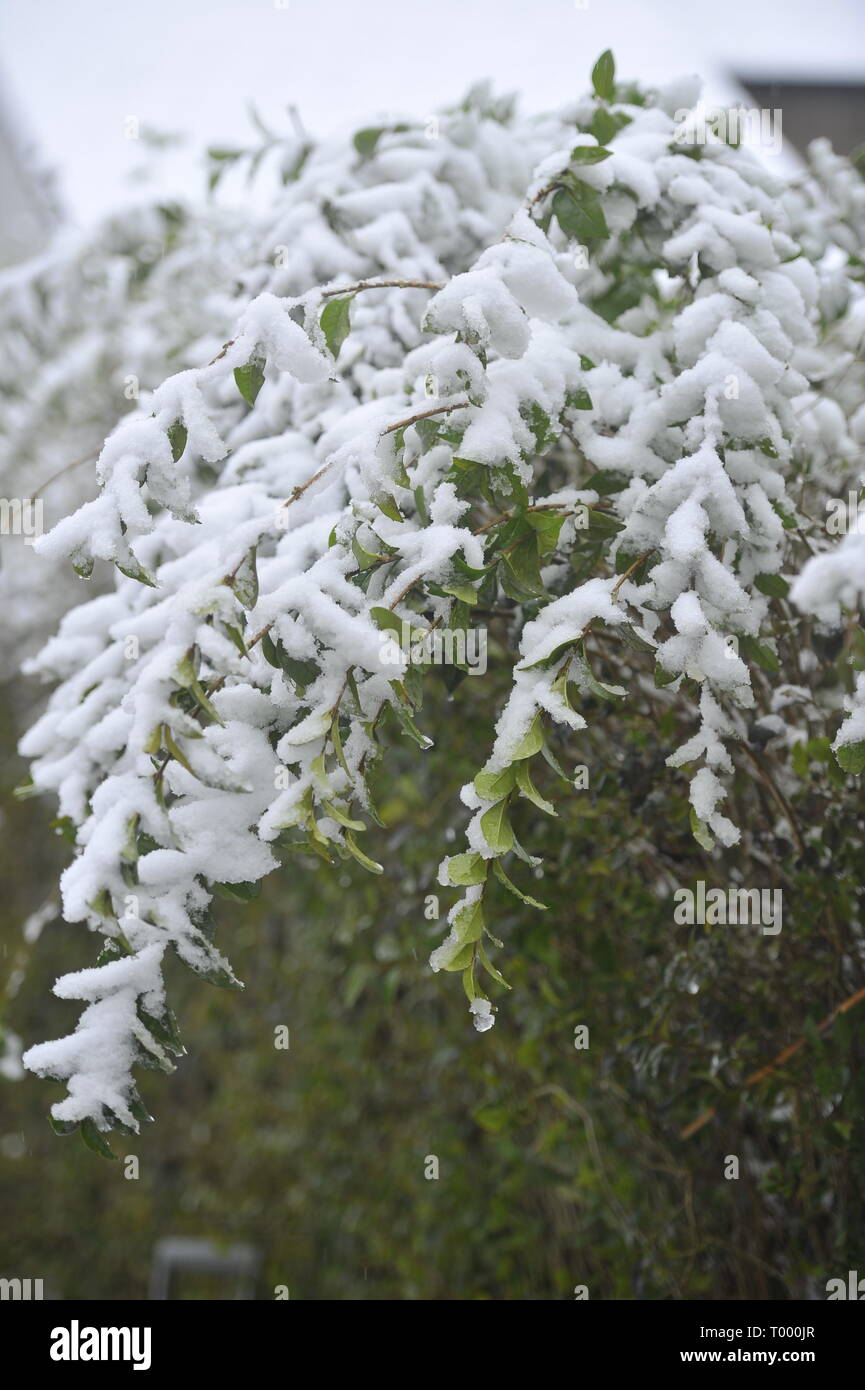 Hannah storm hi-res stock photography and images - Alamy