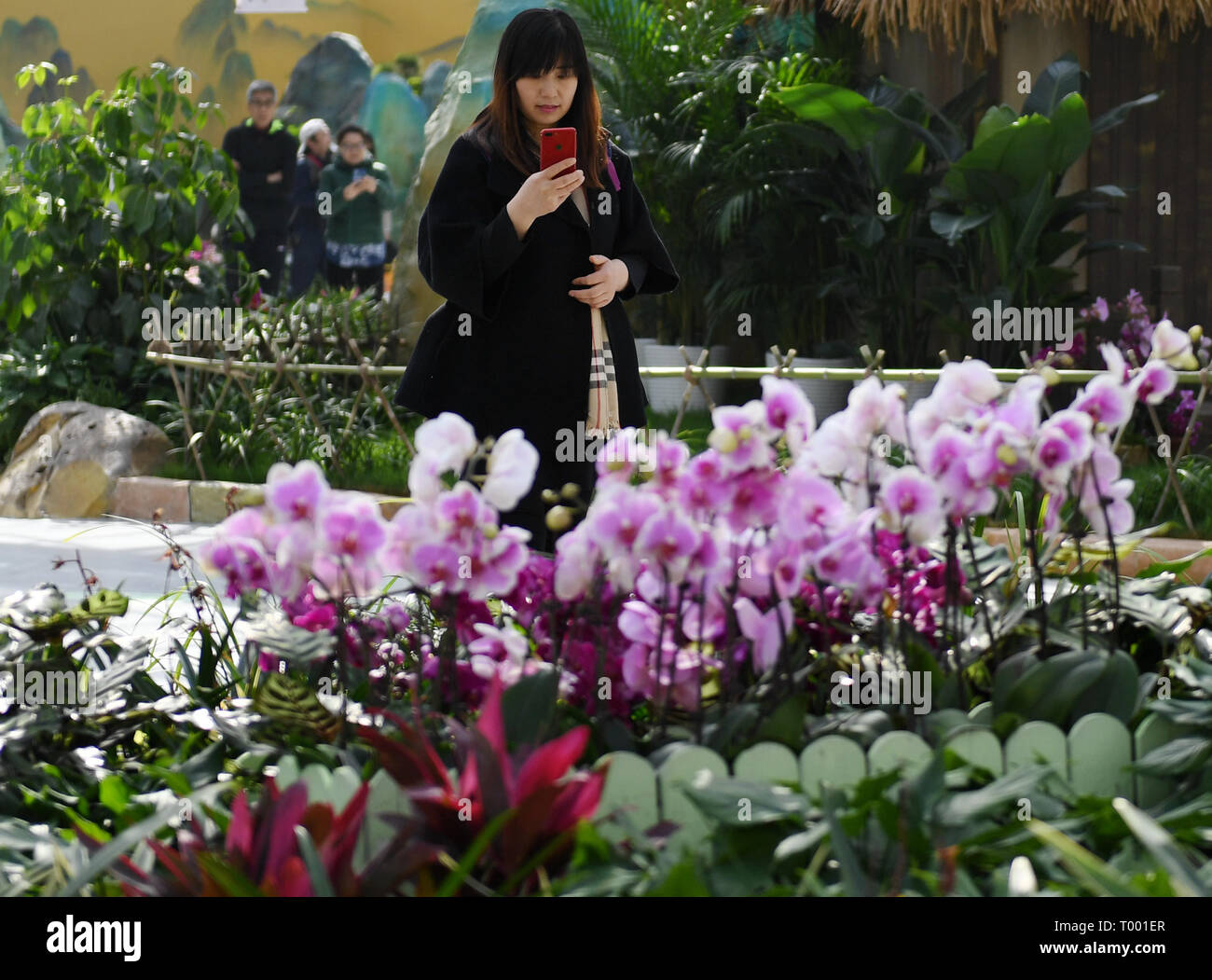 Zhang changping hi-res stock photography and images - Alamy