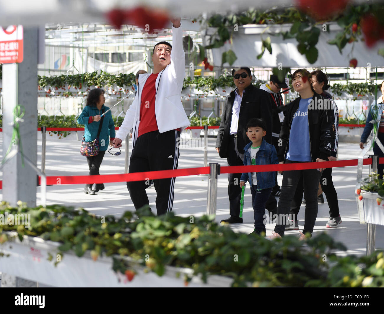 Zhang changping hi-res stock photography and images - Alamy