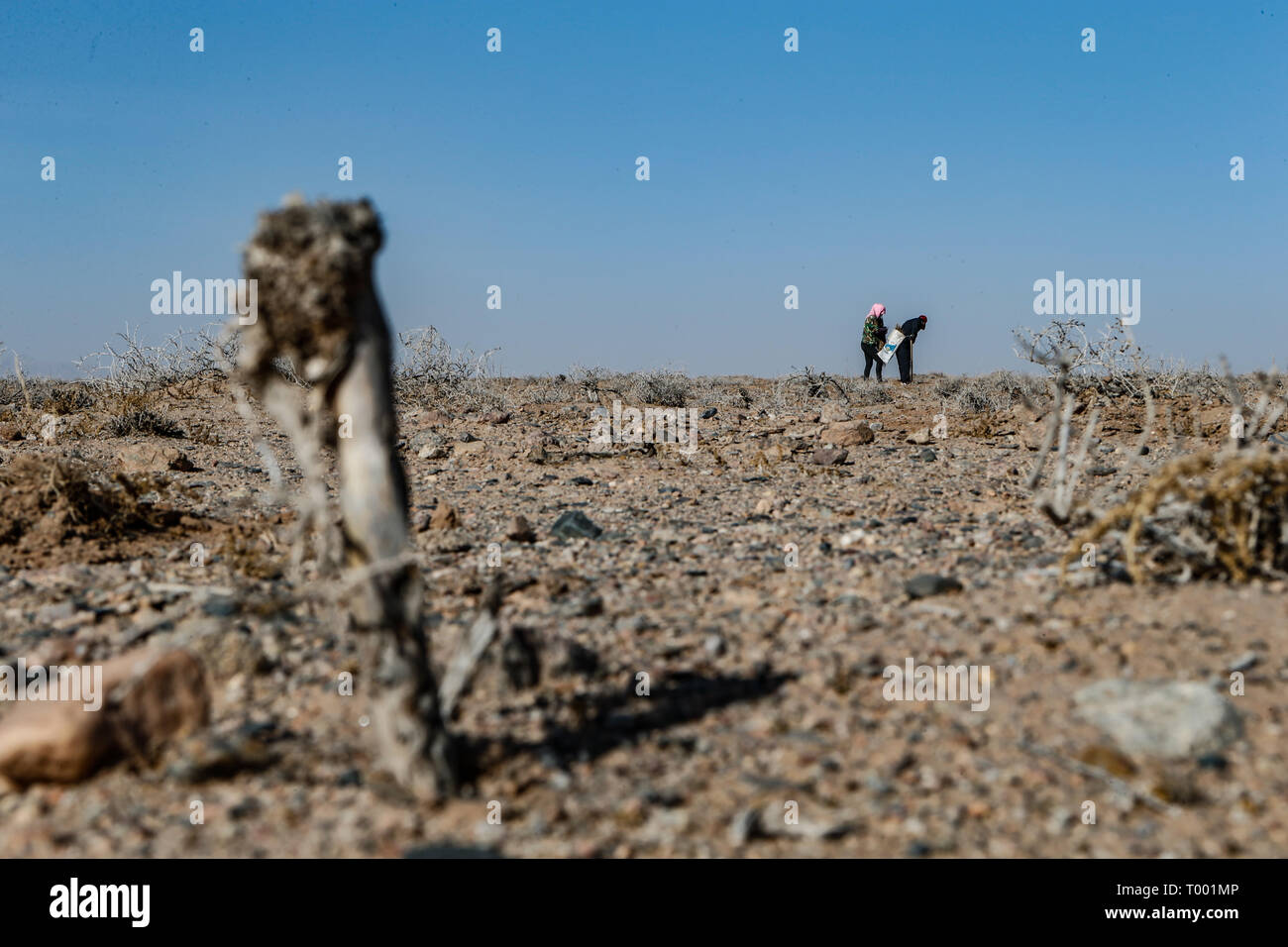 Hottot, China's Inner Mongolia Autonomous Region. 16th Mar, 2019 ...